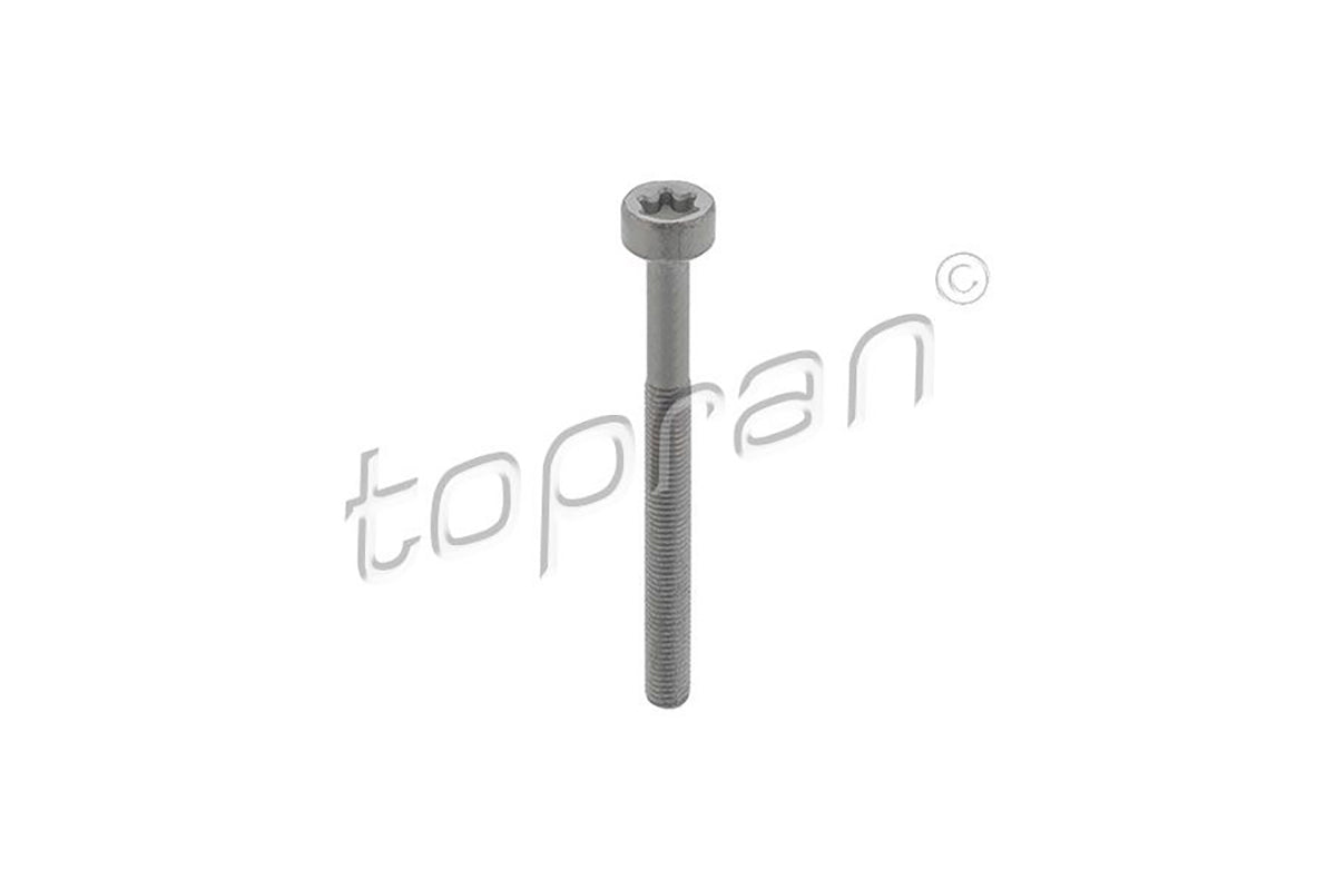 Mercedes Fuel Injector Bolt | Only Euro