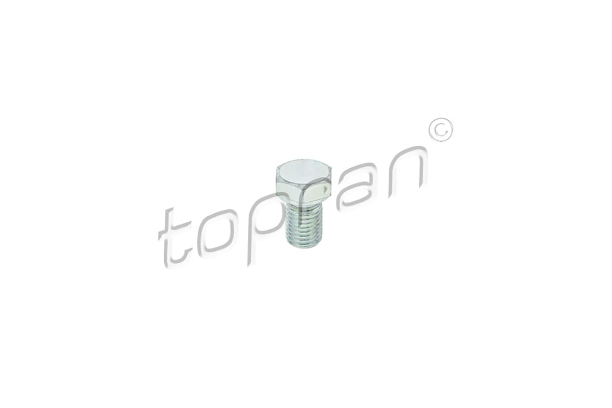 BMW MINI Engine Sump Plug - 11131273093 | Only Euro