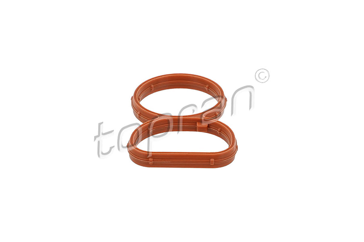 BMW Air Intake Manifold Gasket - 11617801438 | Only Euro