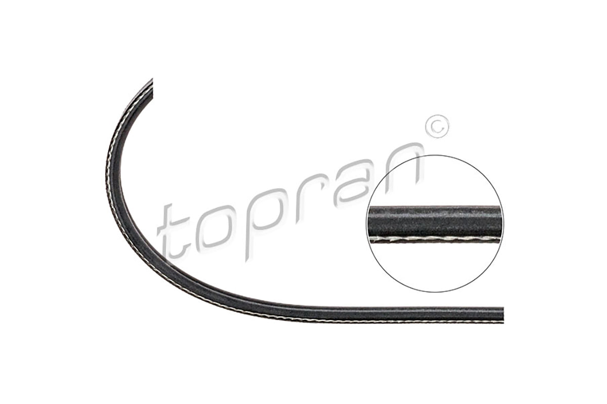 VW Accessory Drive Belt 2PJX800 - 1H0119137 | Only Euro