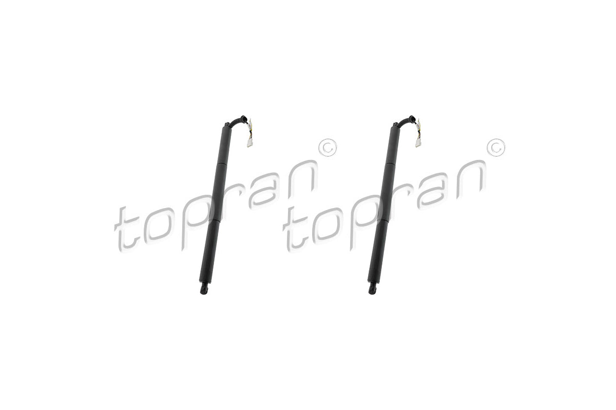 BMW Tailgate Strut Set - 51247350837X2 | Only Euro