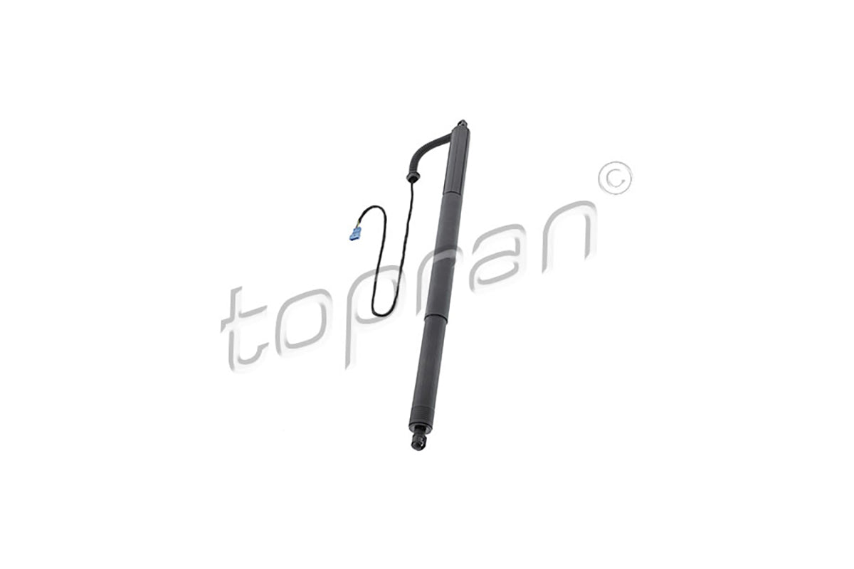 BMW Tailgate Strut Right - 51247432742 | Only Euro