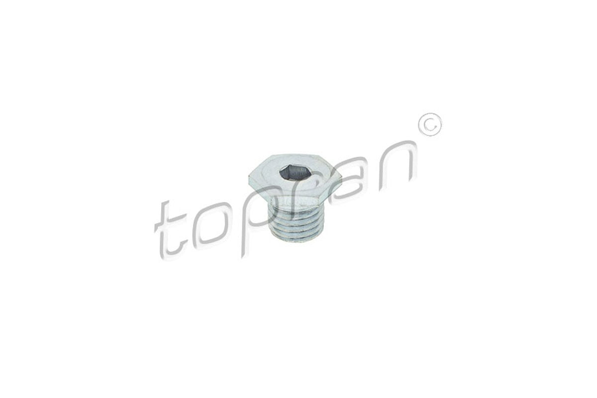 BMW Engine Sump Plug - 11131742994 | Only Euro
