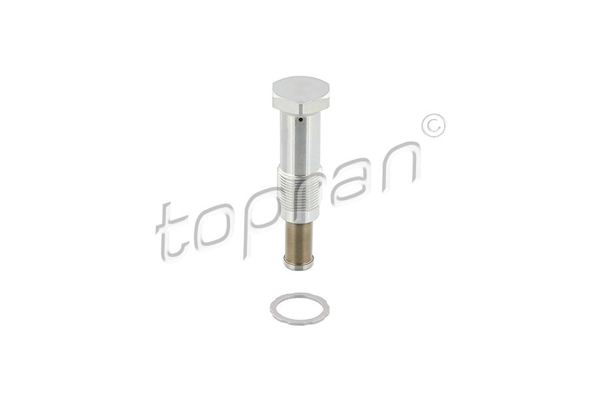 BMW Timing Chain Tensioner - 11318685091 | Only Euro