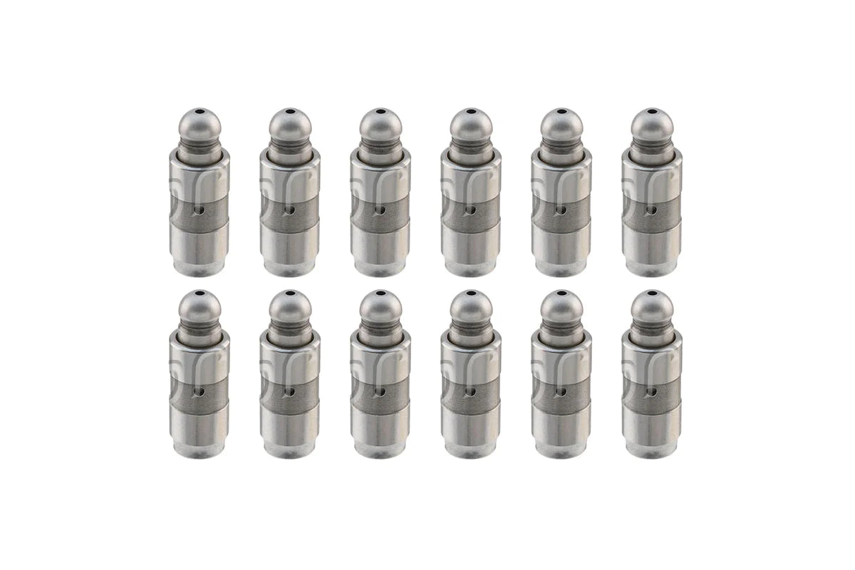 BMW Valve Lifter Set of 12 - 11337605330X12 | Only Euro
