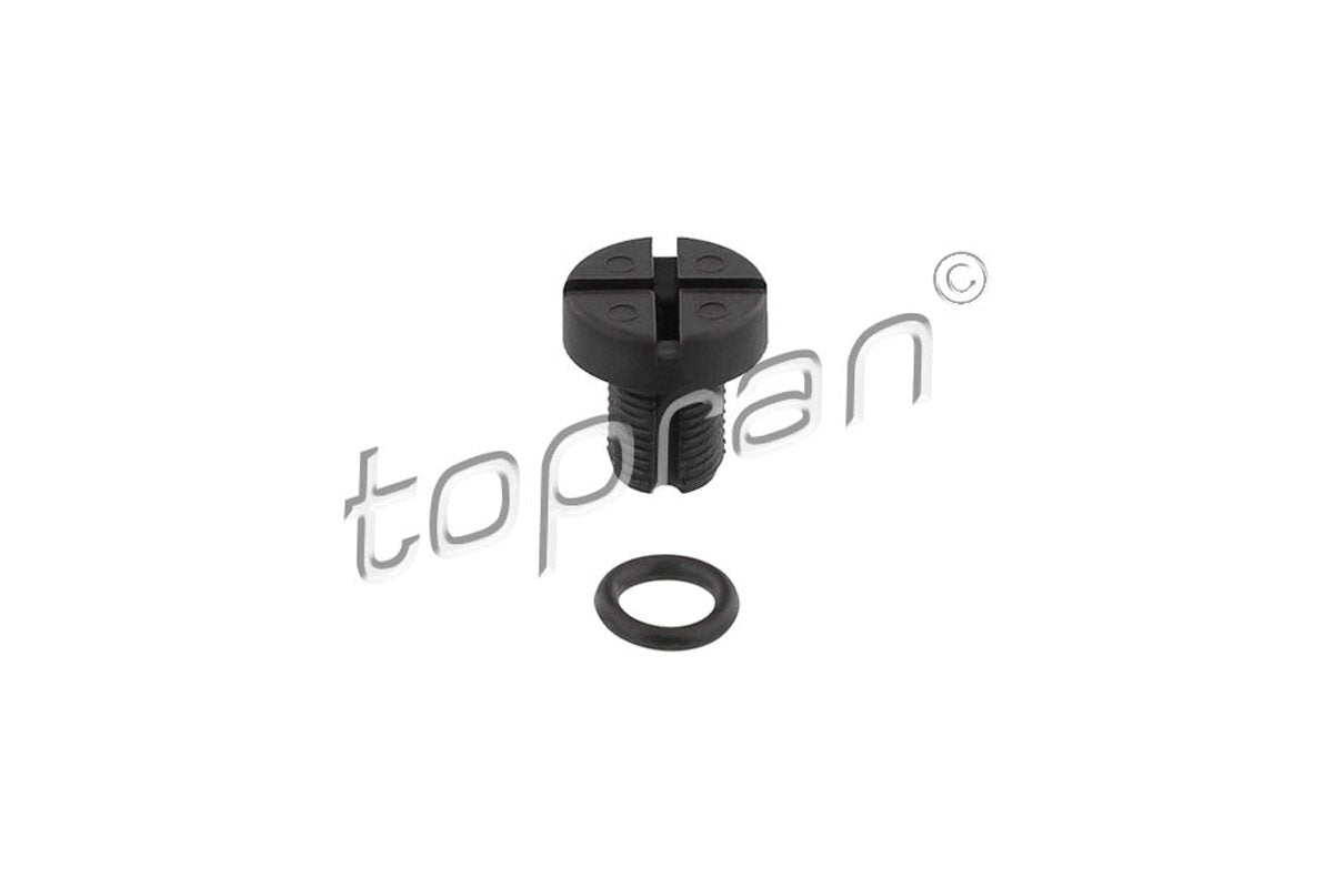 BMW MINI Coolant Bleed Screw - 11537793373 | Only Euro