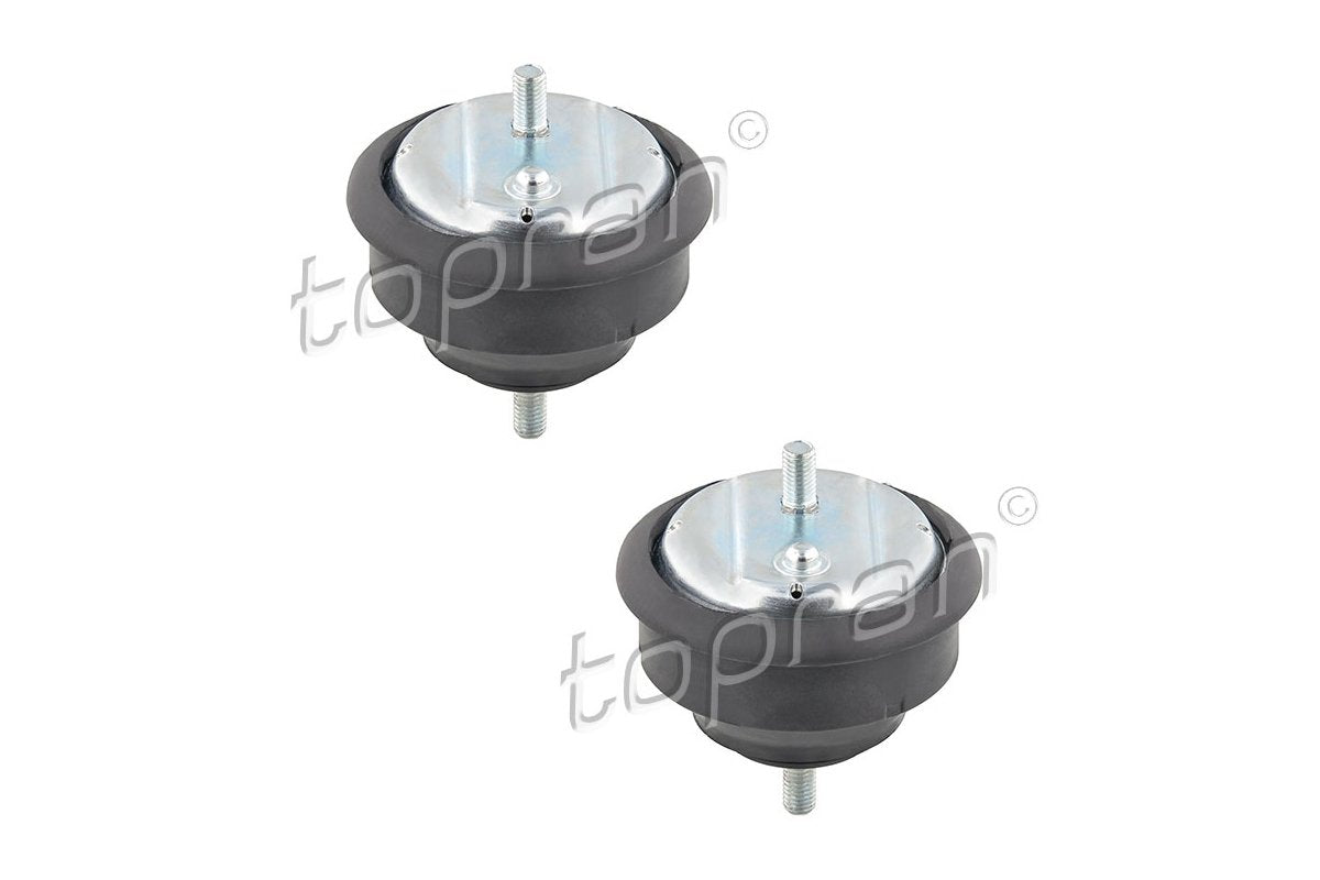 BMW Engine Mount Set - 11811141377X2 | Only Euro