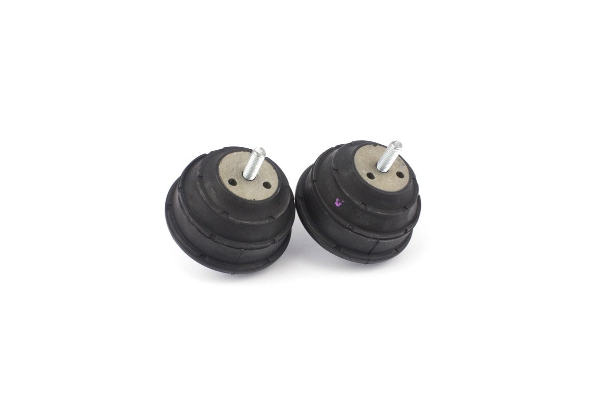 BMW Engine Mount Set - 11812283798X2 | Only Euro