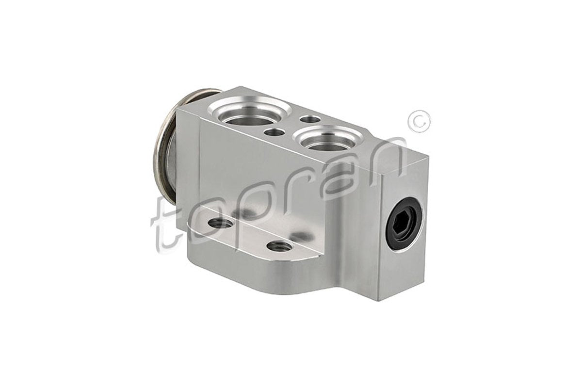 Audi VW Expansion Valve - 1K0820679 | Only Euro
