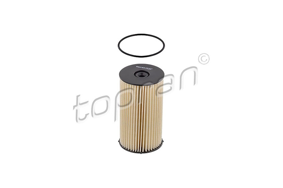 Audi VW Fuel Filter - 3C0127434 | Only Euro