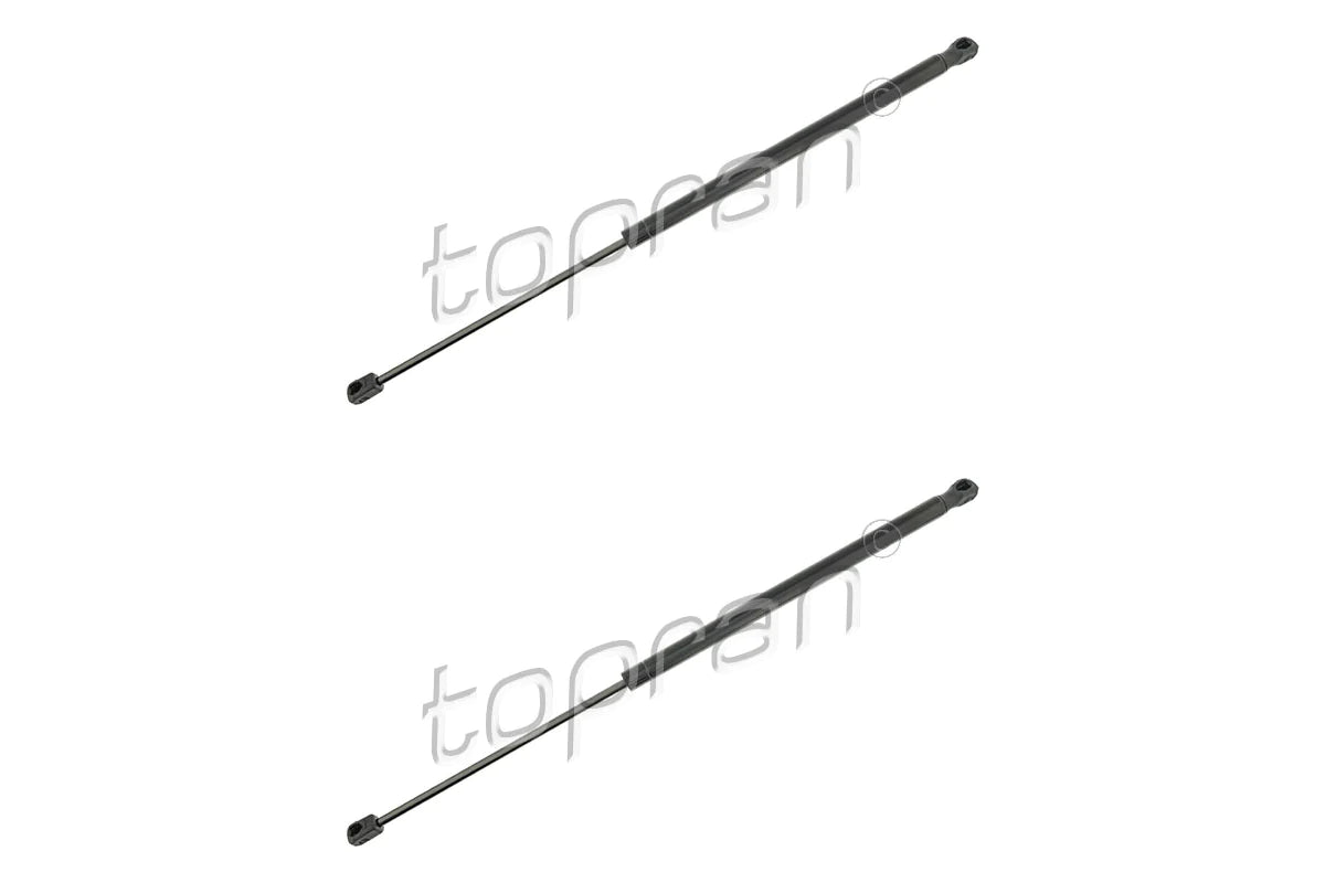 BMW Tailgate Strut Set - 51242990136X2 | Only Euro