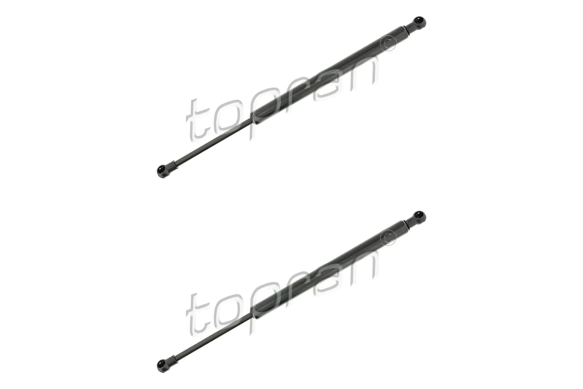 BMW Boot Lid Strut Set - 51247129194X2 | Only Euro