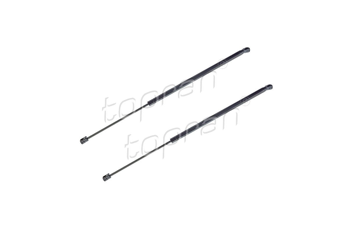 BMW Tailgate Strut Set - 51247211289X2 | Only Euro