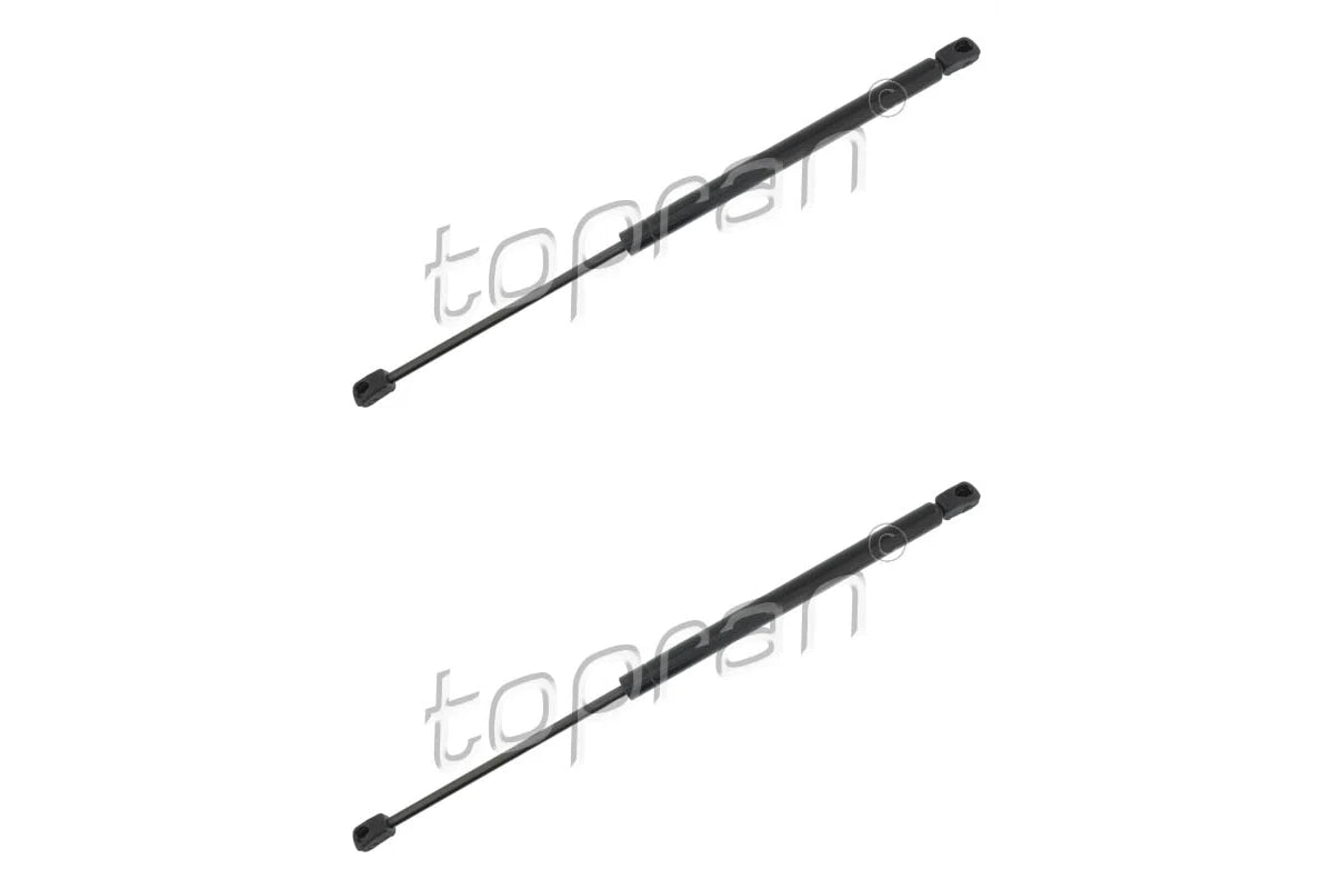 BMW Tailgate Strut Set - 51247239871X2 | Only Euro