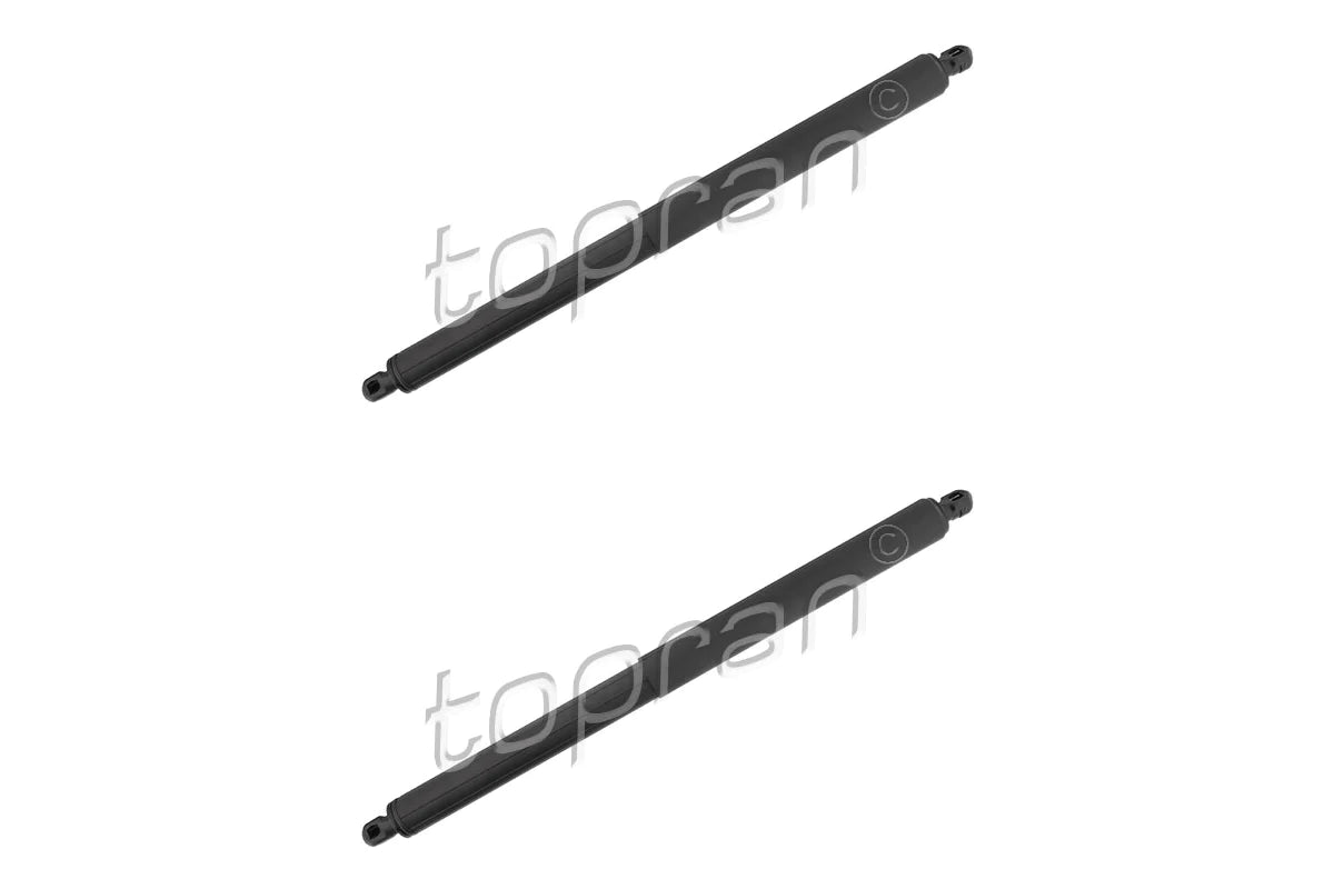 BMW Tailgate Strut Set - 51247294199X2 | Only Euro