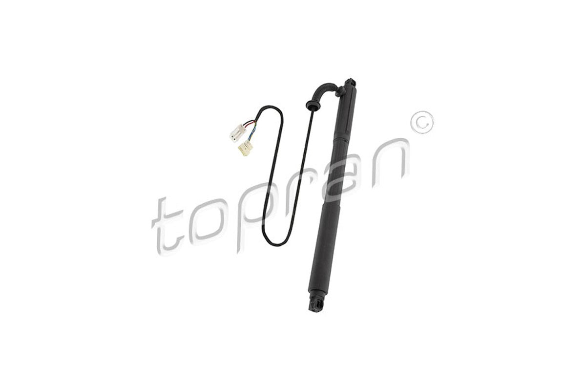 BMW Tailgate Strut - 51247332696 | Only Euro