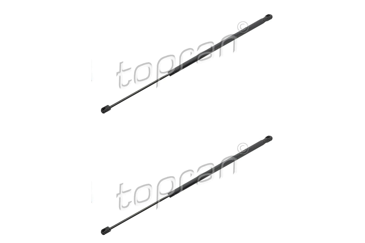 BMW Tailgate Strut Set - 51247456042X2 | Only Euro