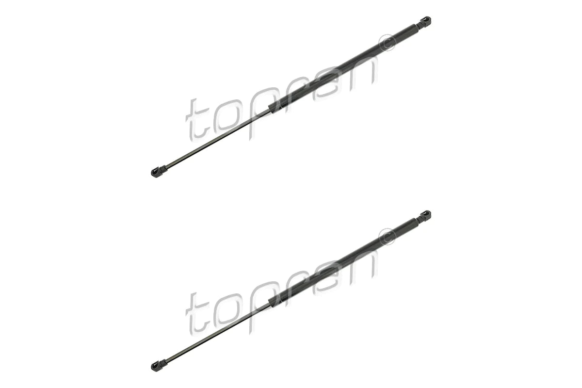 BMW Tailgate Strut Set - 51248232873X2 | Only Euro