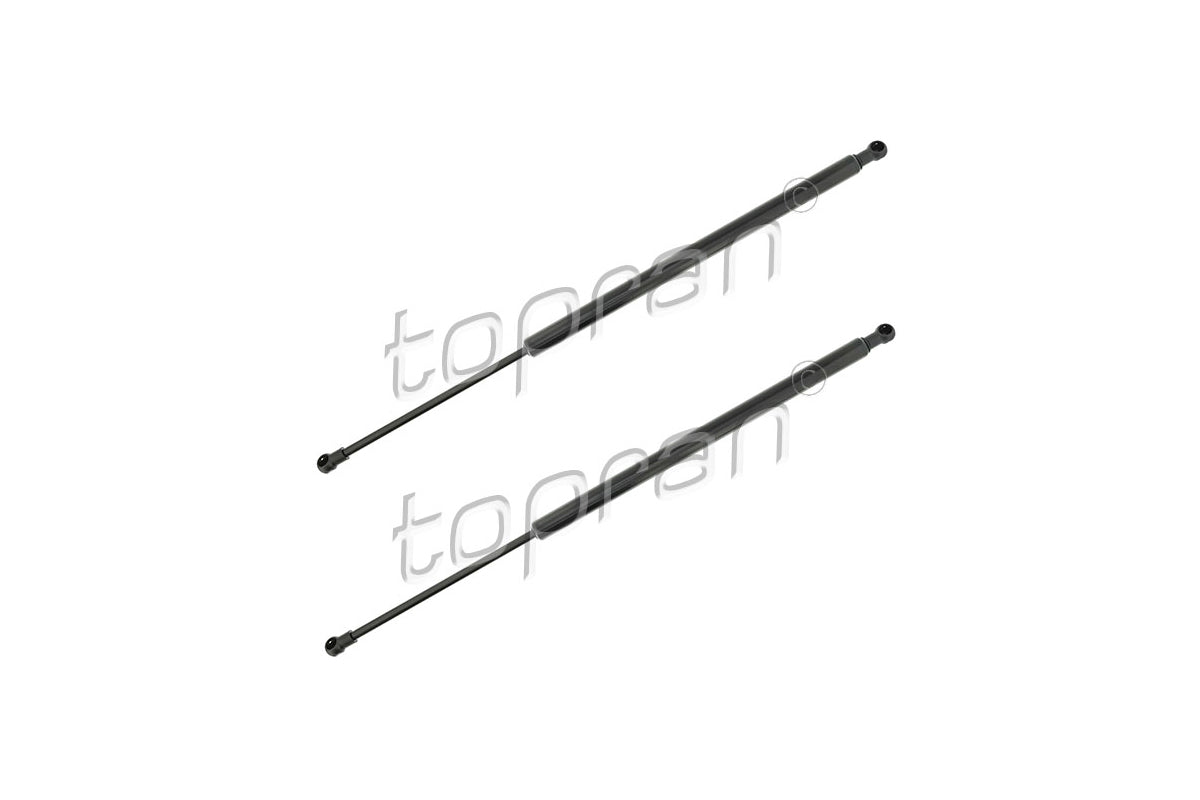 BMW Tailgate Strut Set - 51248402405X2 | Only Euro