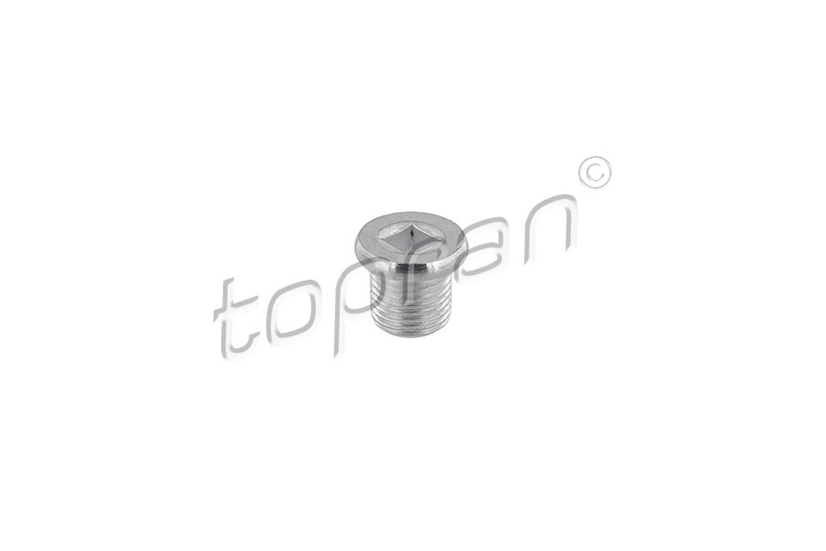 Mercedes Engine Sump Plug - 6079900023 | Only Euro